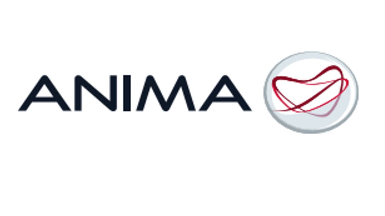 ANIMA Holding, la trimestrale piace e il ...